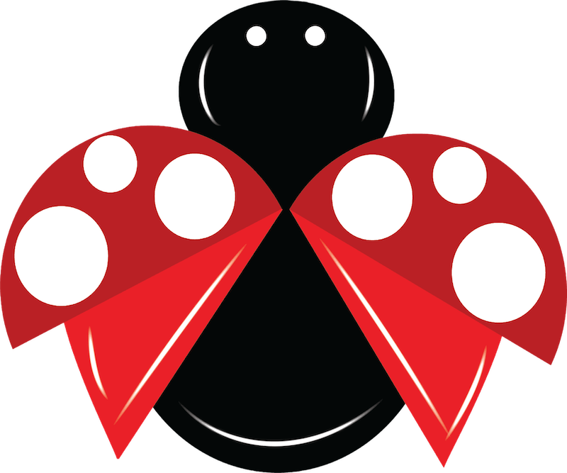 Lady Bug #1 Outdoor Decoration – Yard Art Decor and More LLC