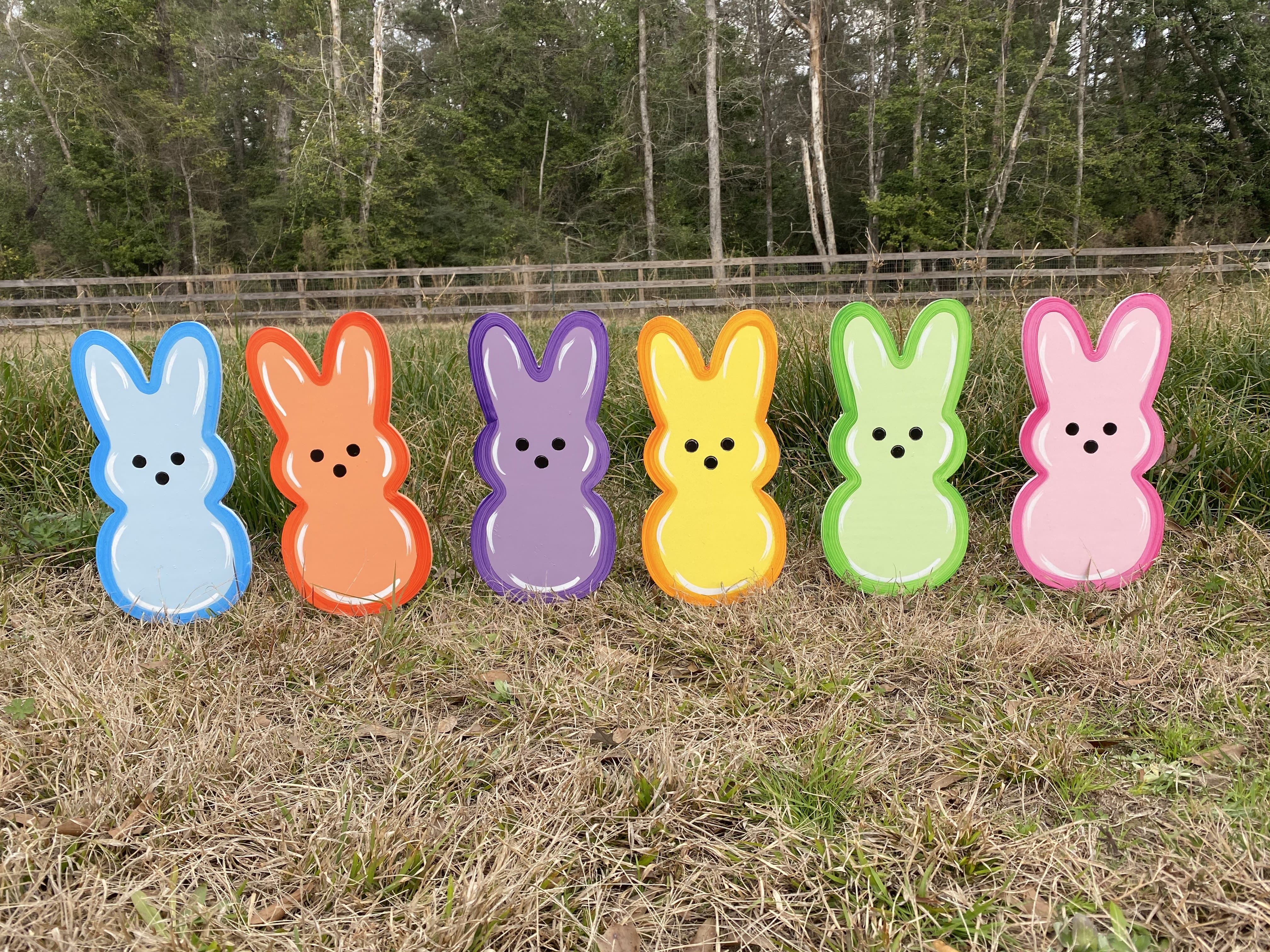 Small Peep DIY Blank | Easter Yard Art to Paint – Yard Art Decor and More