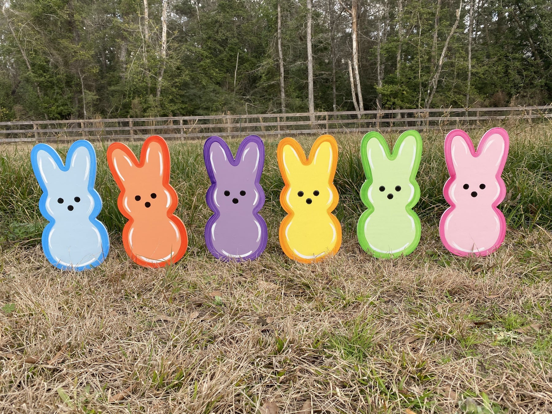 Small Peep DIY Blank | Easter Yard Art to Paint – Yard Art Decor and ...